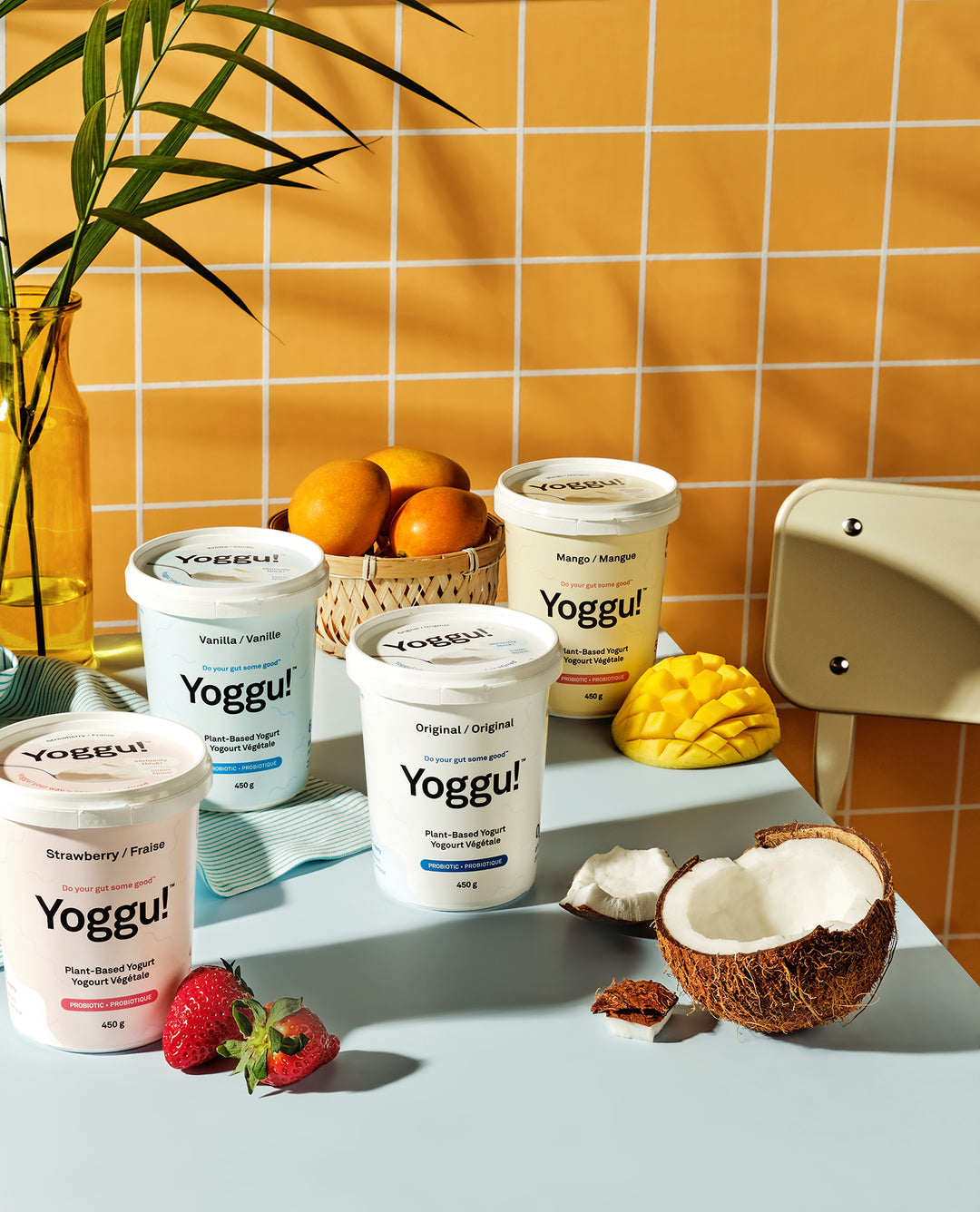 Products – Yoggu!